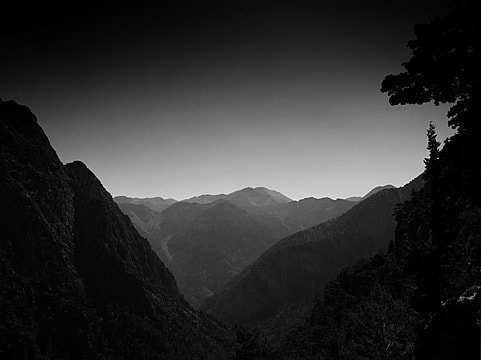 Template 2 || Kasper